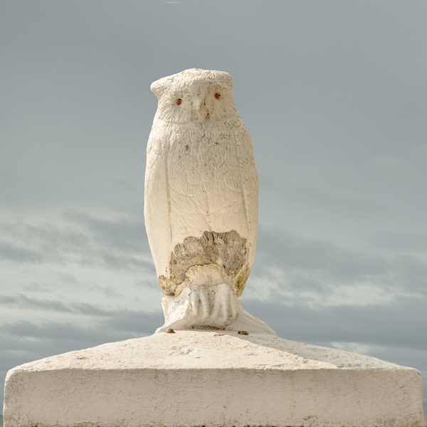 Exhibitions | Kevin Kavanagh